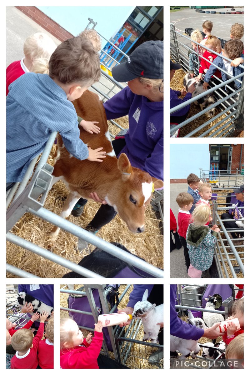 Maybury EYFS (@maybury_eyfs) / Posts / X