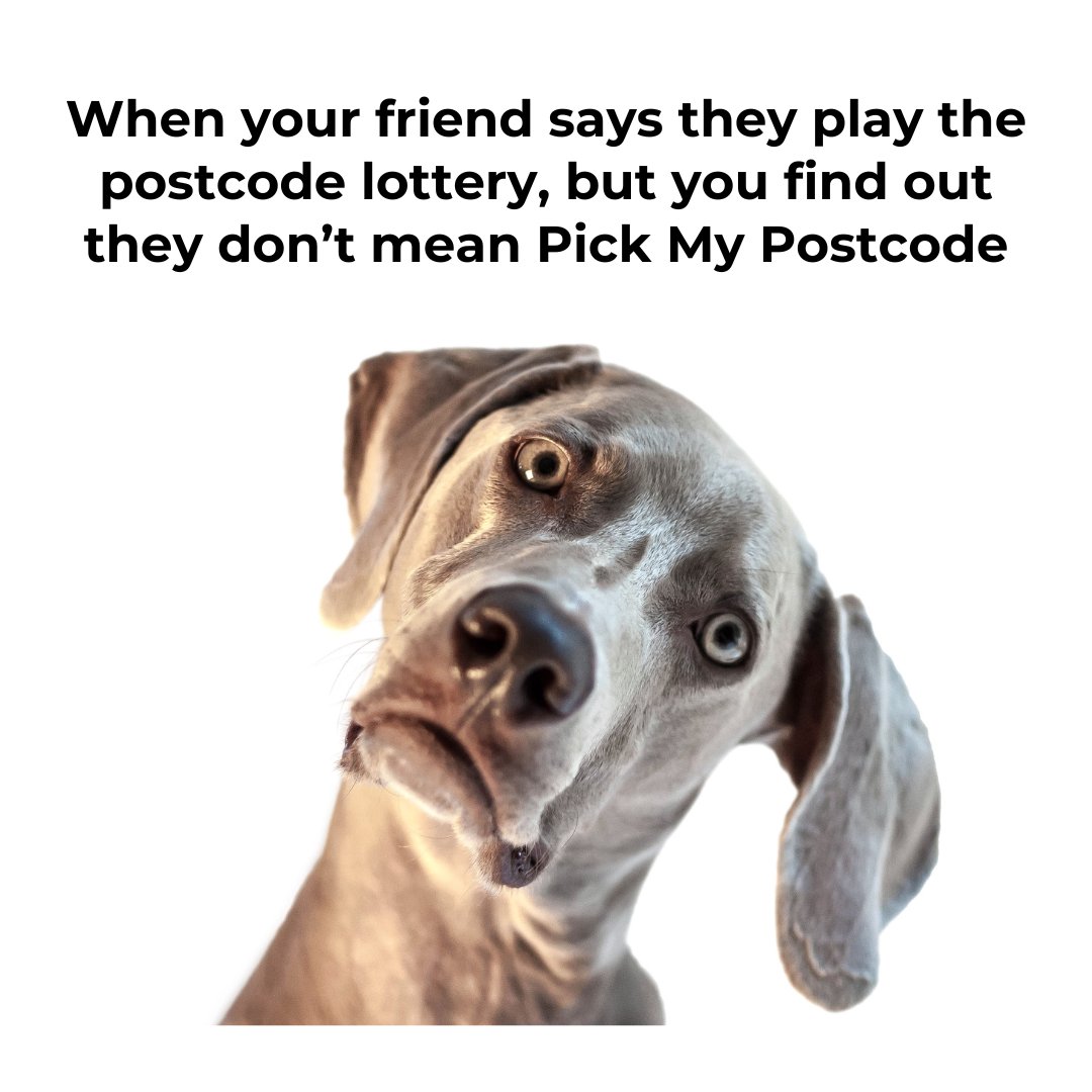 Lottery Dog Memes