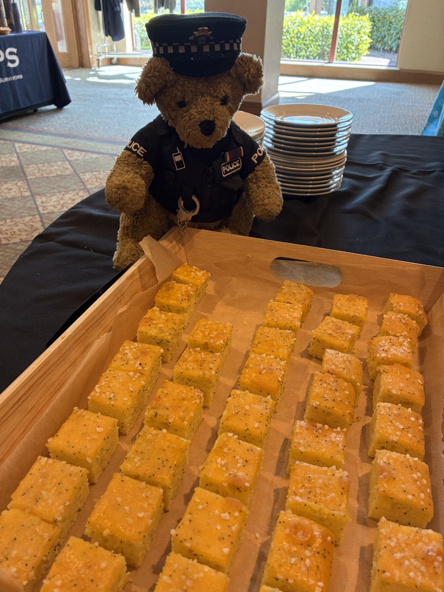 PC Edward Walker - WIP - COPS