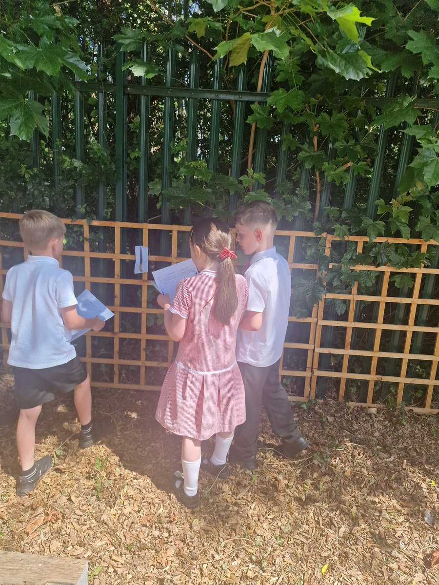 Christ the King Catholic Primary School | Part of the Nicholas Postgate ...