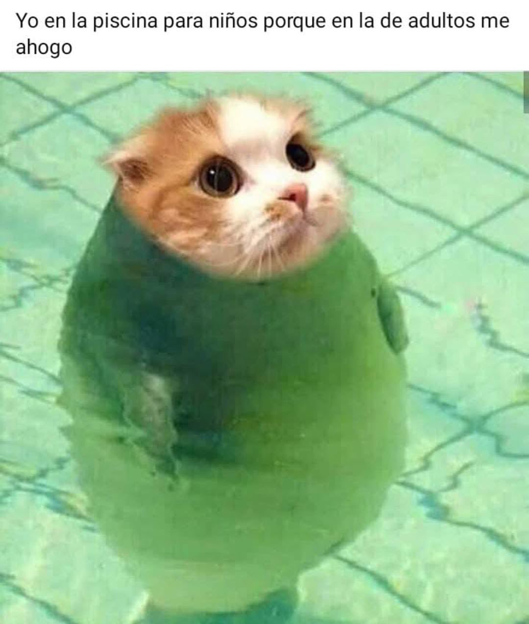 Memes Piscinas