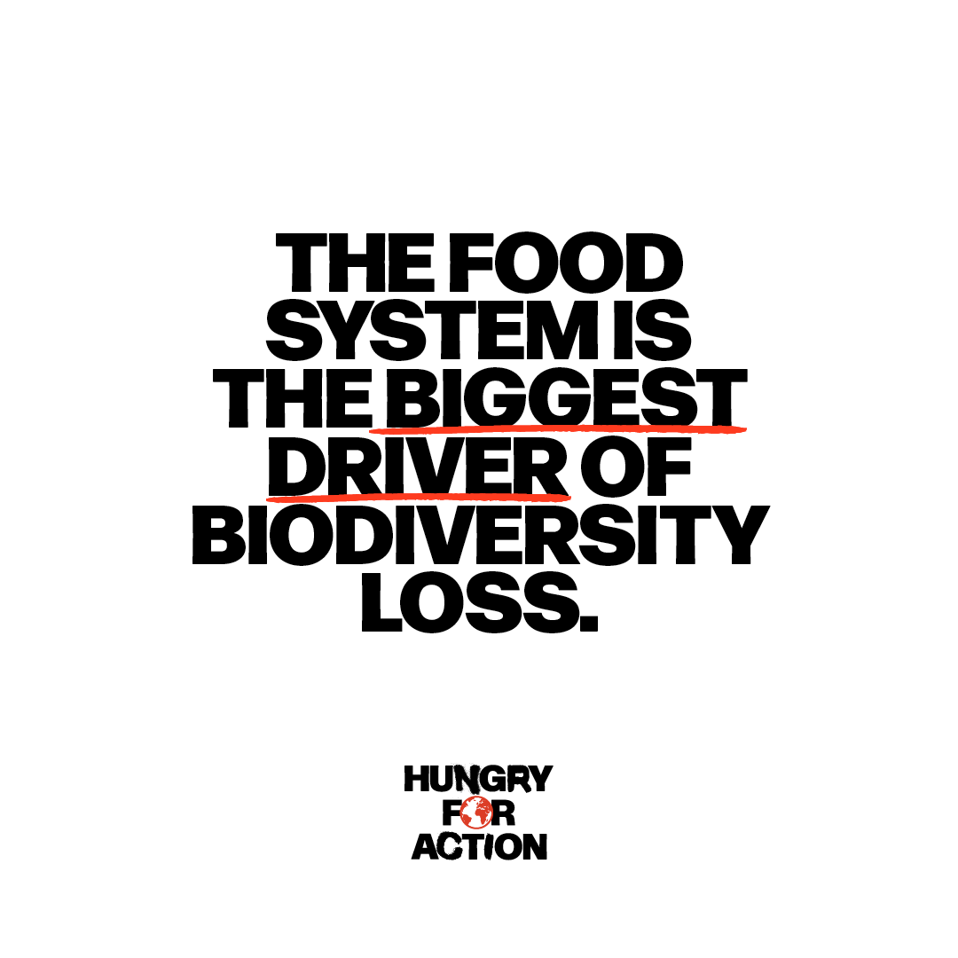 Media and Influencers can unlock Food Insecurity in Africa | SDG2 ...