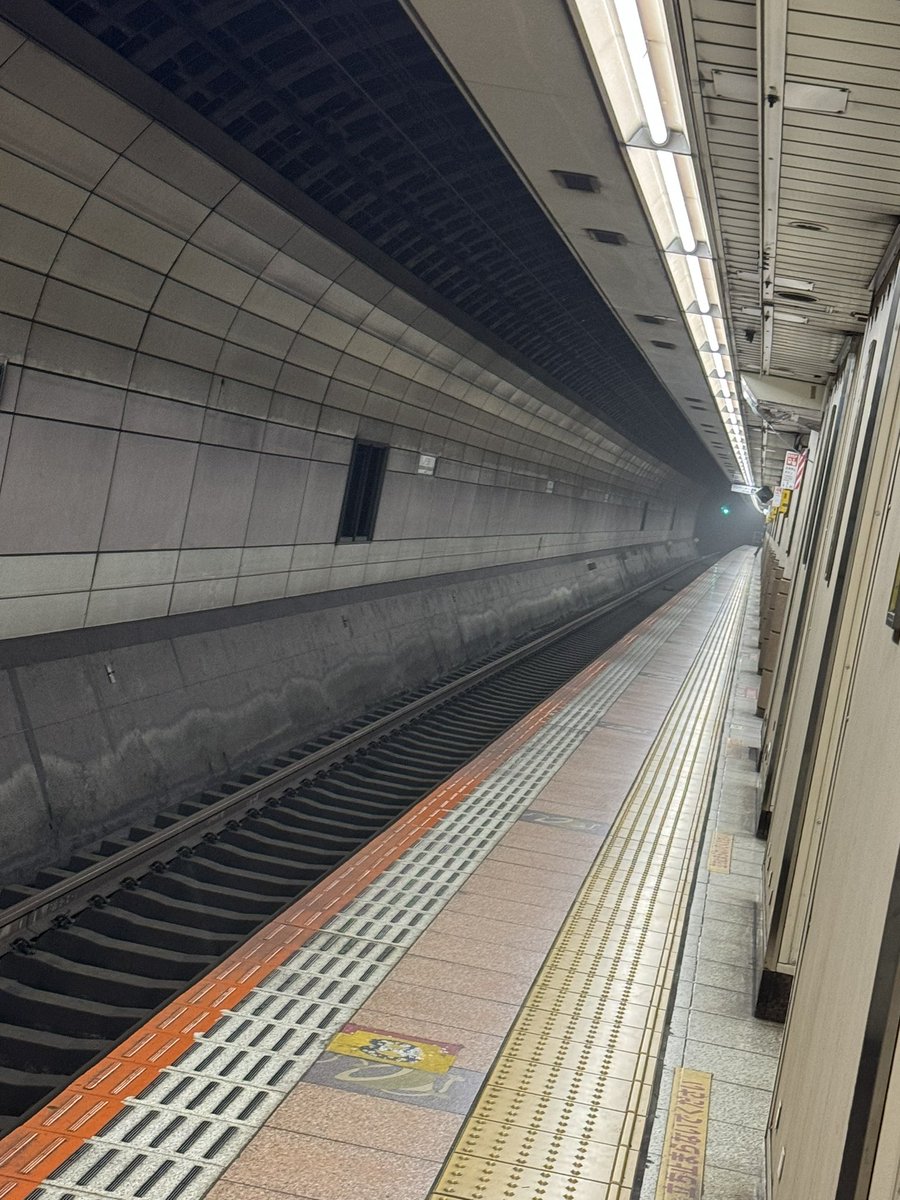 山手線に続き京葉線もホームから煙で全線運転見合わせwww [469534301]