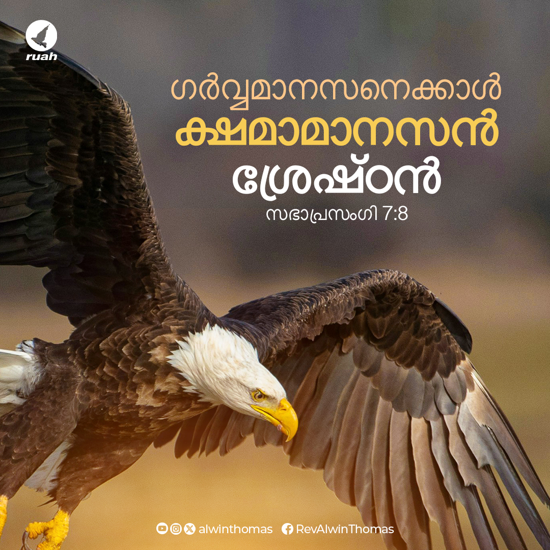 Eagle Pride Quotes 22 Eagle Quotes Ideas | Eagles Quotes, Eagle,