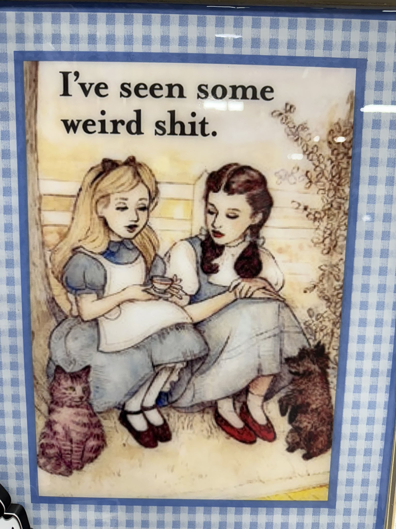 Alice Dorothy Memes