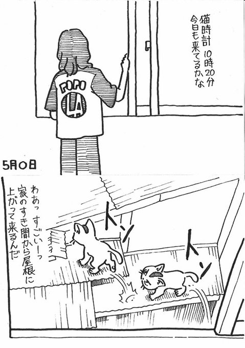 『のらねことの距離感がわからない』 絵日記 2/7 自分が見.. | ごん屋 さんのマンガ | ツイコミ(仮)