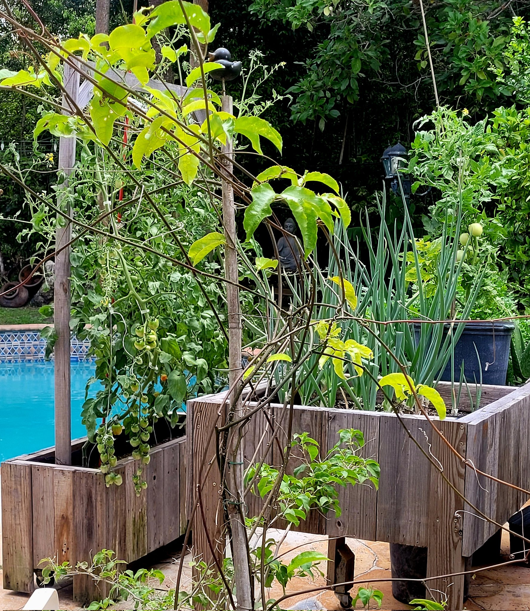 Pallet Tomato Garden DIY Pallet Garden; How To Make Raised Wood Pallet