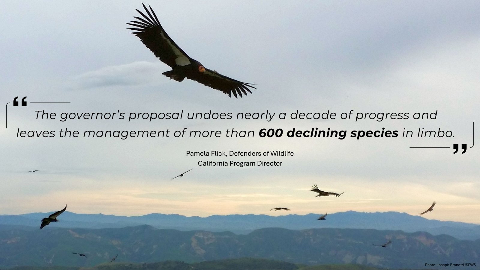 Technology Migration Quotes