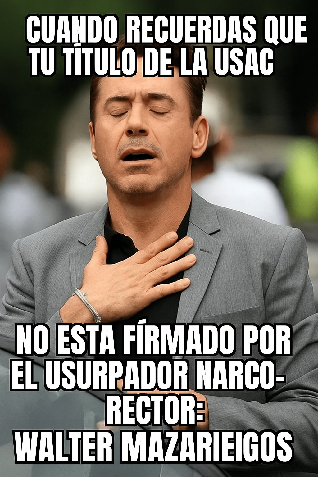 Memes Rectora Martina Marchetti Deschmann – Vice Rector