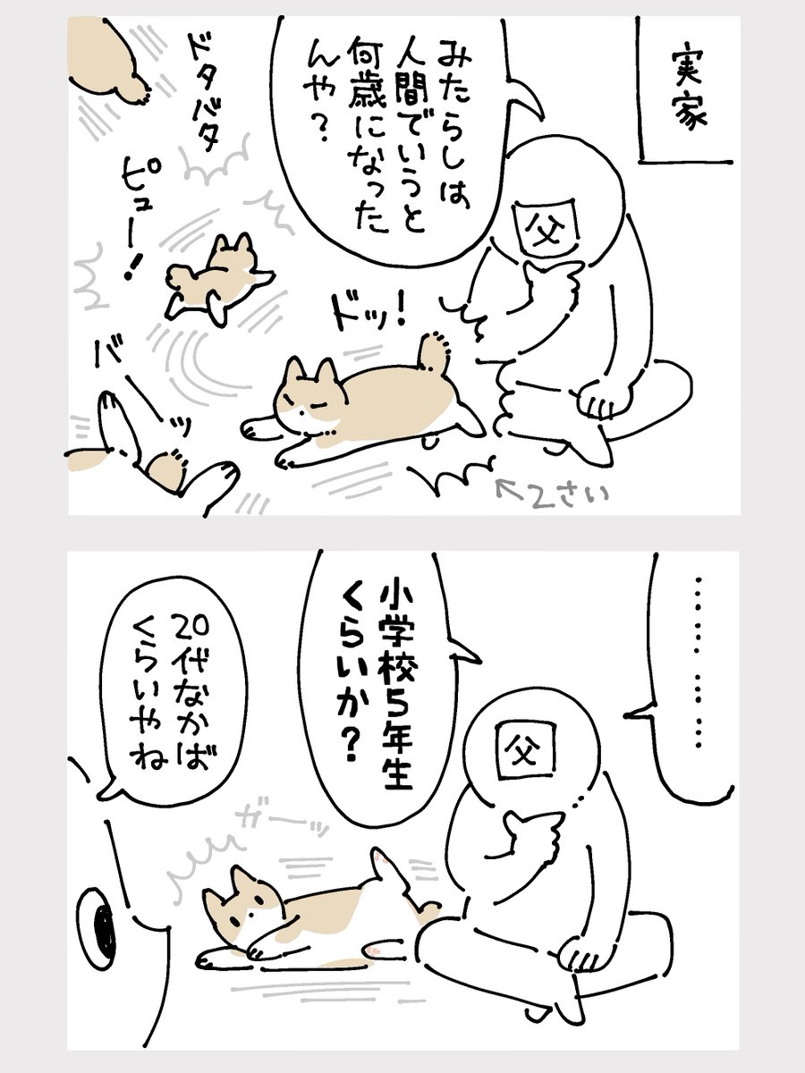 「手書き絵日記まとめ 〜みたらし編・その3〜 [1/6] 短剣vs長剣の闘い(片方は気づいていない) 」AKR｜7巻でたよの漫画