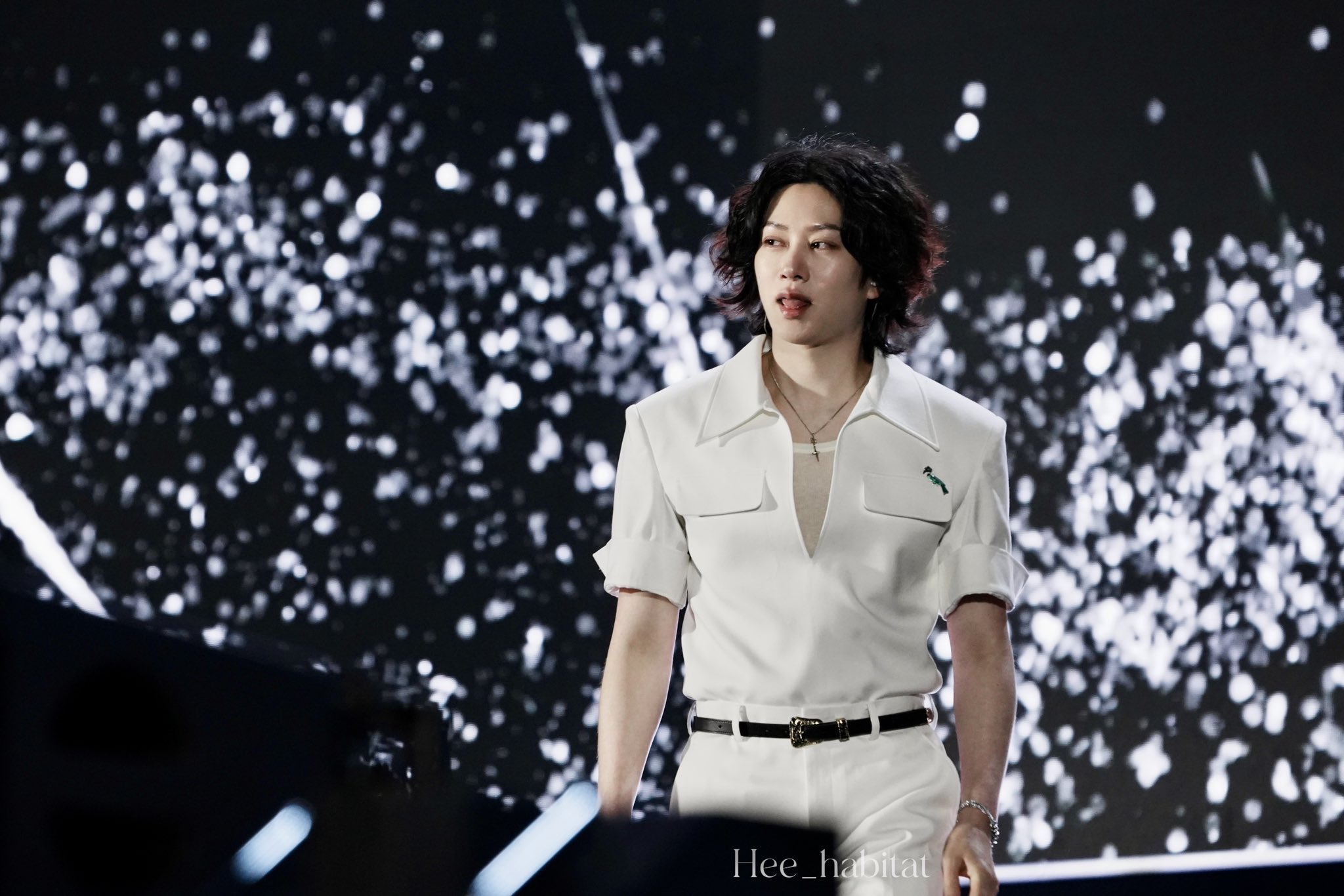 Heechul Handsome