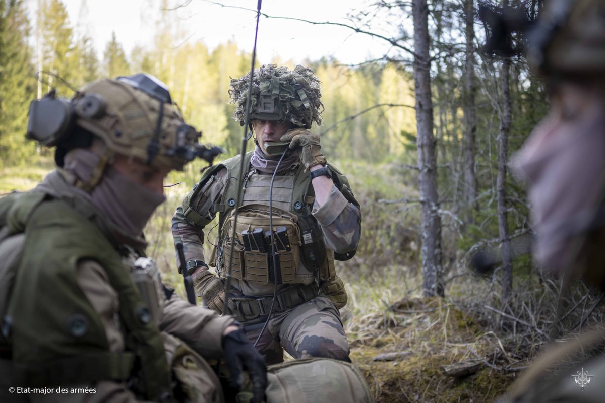 NATO Conducts Baltic Sentry, SNMCMG1 Naval, Hedgehog 2025, and Strong ...