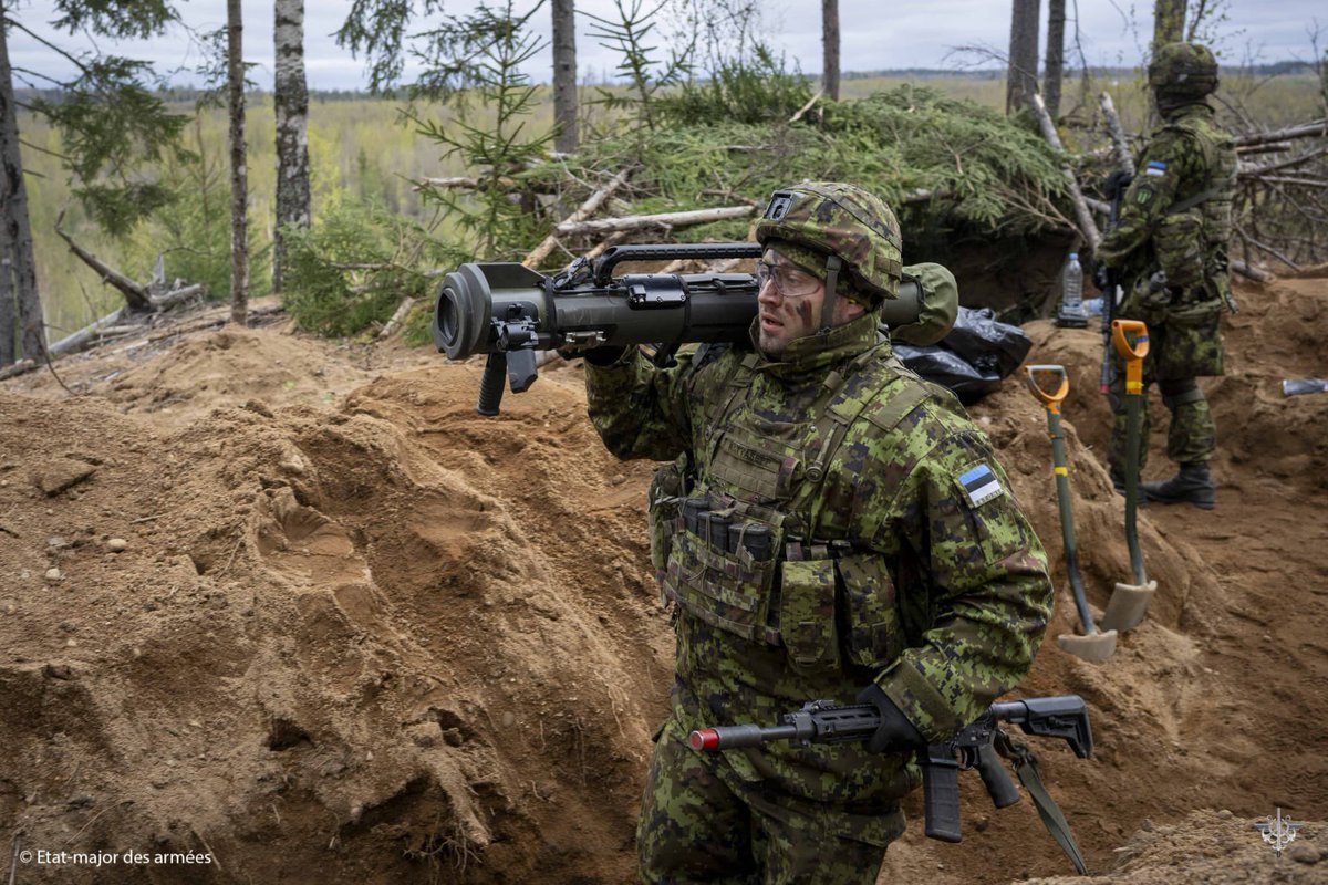 NATO Conducts Baltic Sentry, SNMCMG1 Naval, Hedgehog 2025, and Strong ...