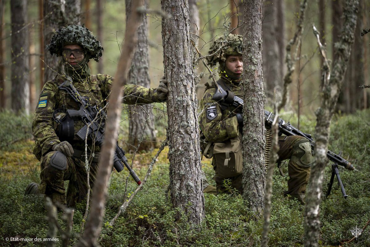 NATO Conducts Baltic Sentry, SNMCMG1 Naval, Hedgehog 2025, and Strong ...