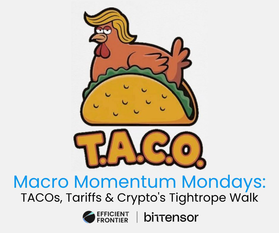 Efficient Frontier - Subnet Alpha