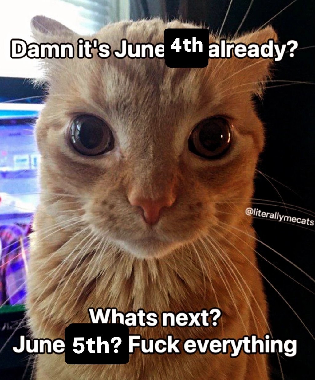 Quarter Century Memes