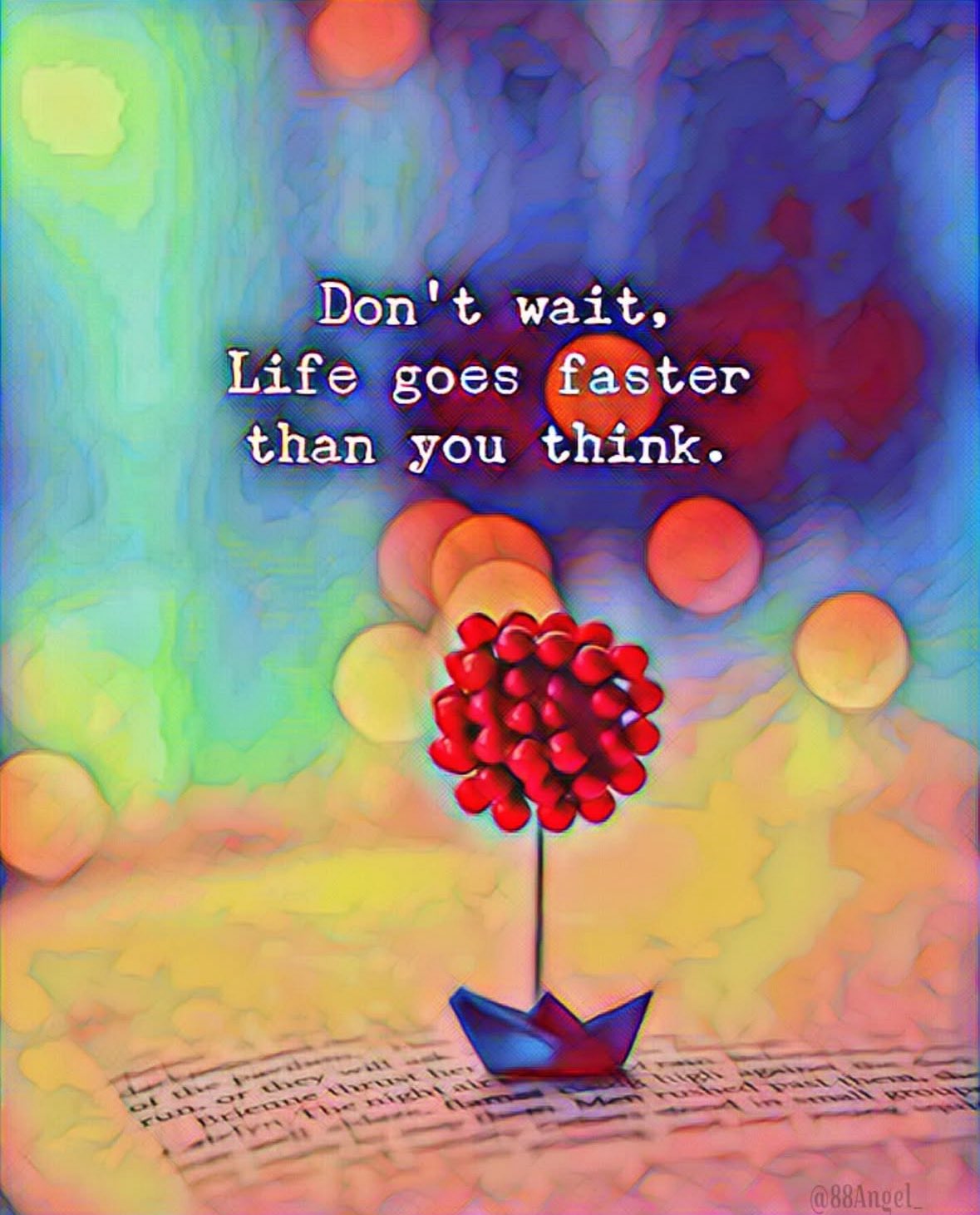 Donnie Pfaster Quotes