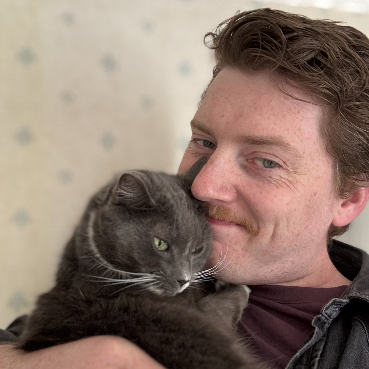 「It's Hug a Cat Day! We at Eddsworld LOVE」|Eddsworldのイラスト