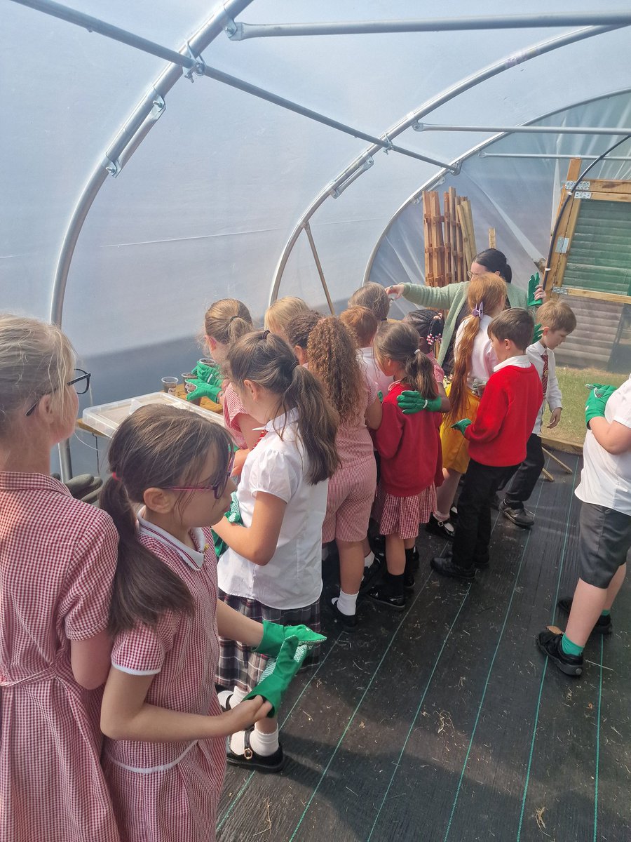 Christ the King Catholic Primary School | Part of the Nicholas Postgate ...