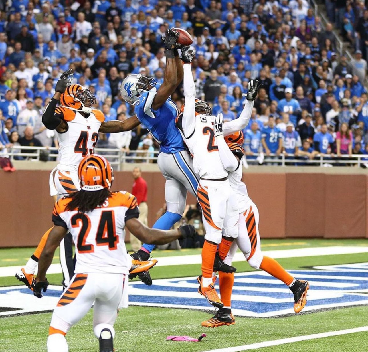 Calvin Johnson Catch
