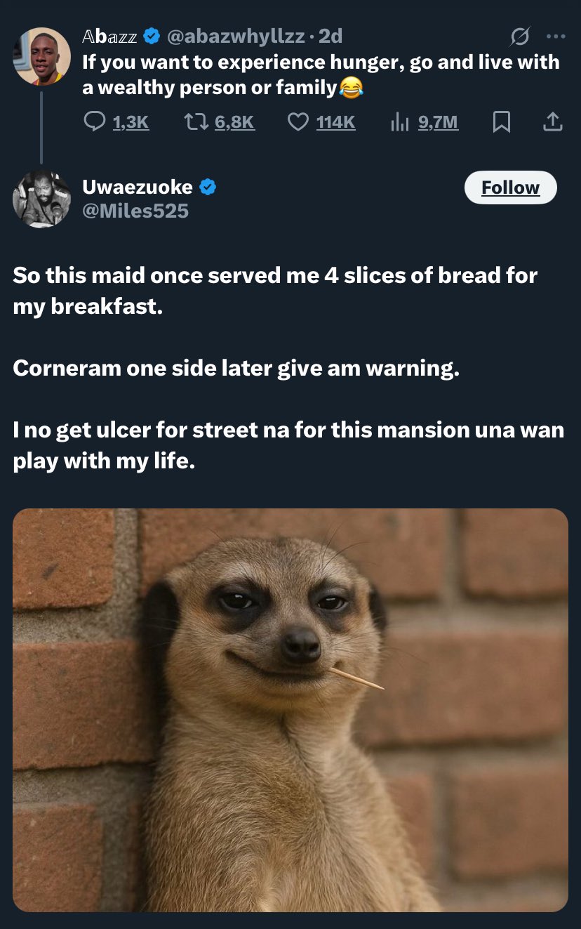 Meerkat Math Memes