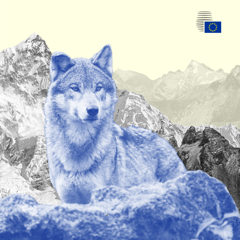 Today, the Council approved the new protection status for wolves ...
