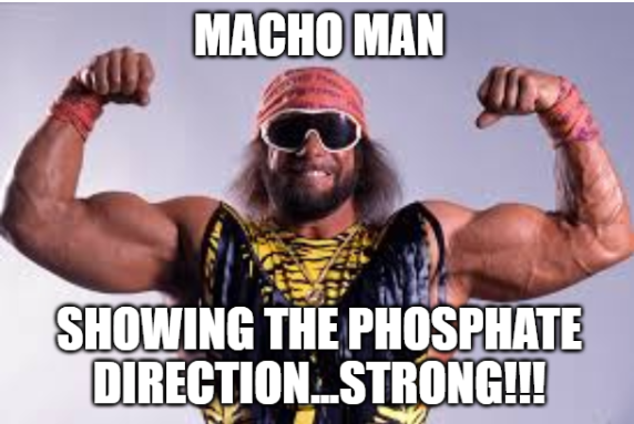 Meme Macho Man Randy Savage Oh Yeah Pro Wrestling Legends "Oh Yeah!"