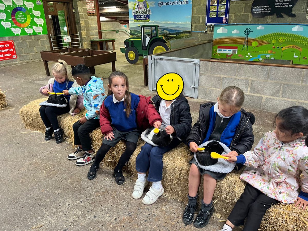 Merlin Top Primary Academy | Northern Education Trust