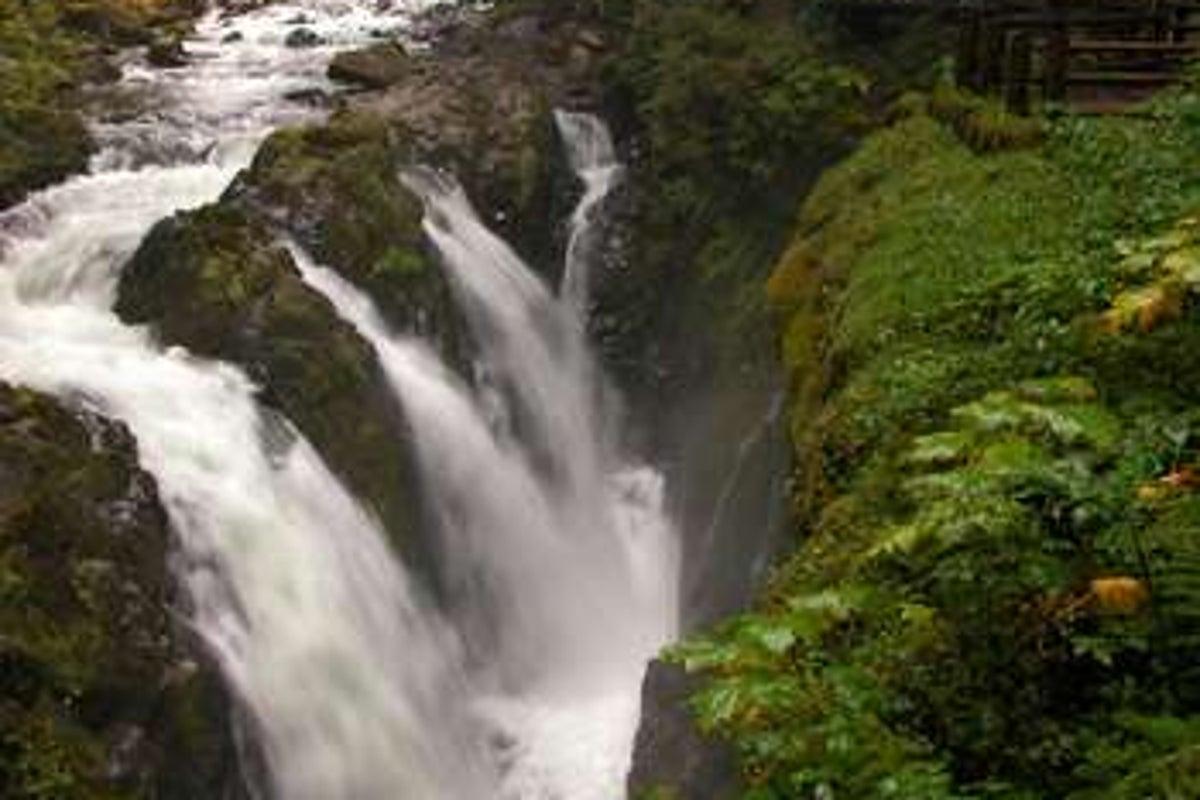 Body Believed to Be Missing 2-Year-Old Bronx Toddler Montrell Williams ...