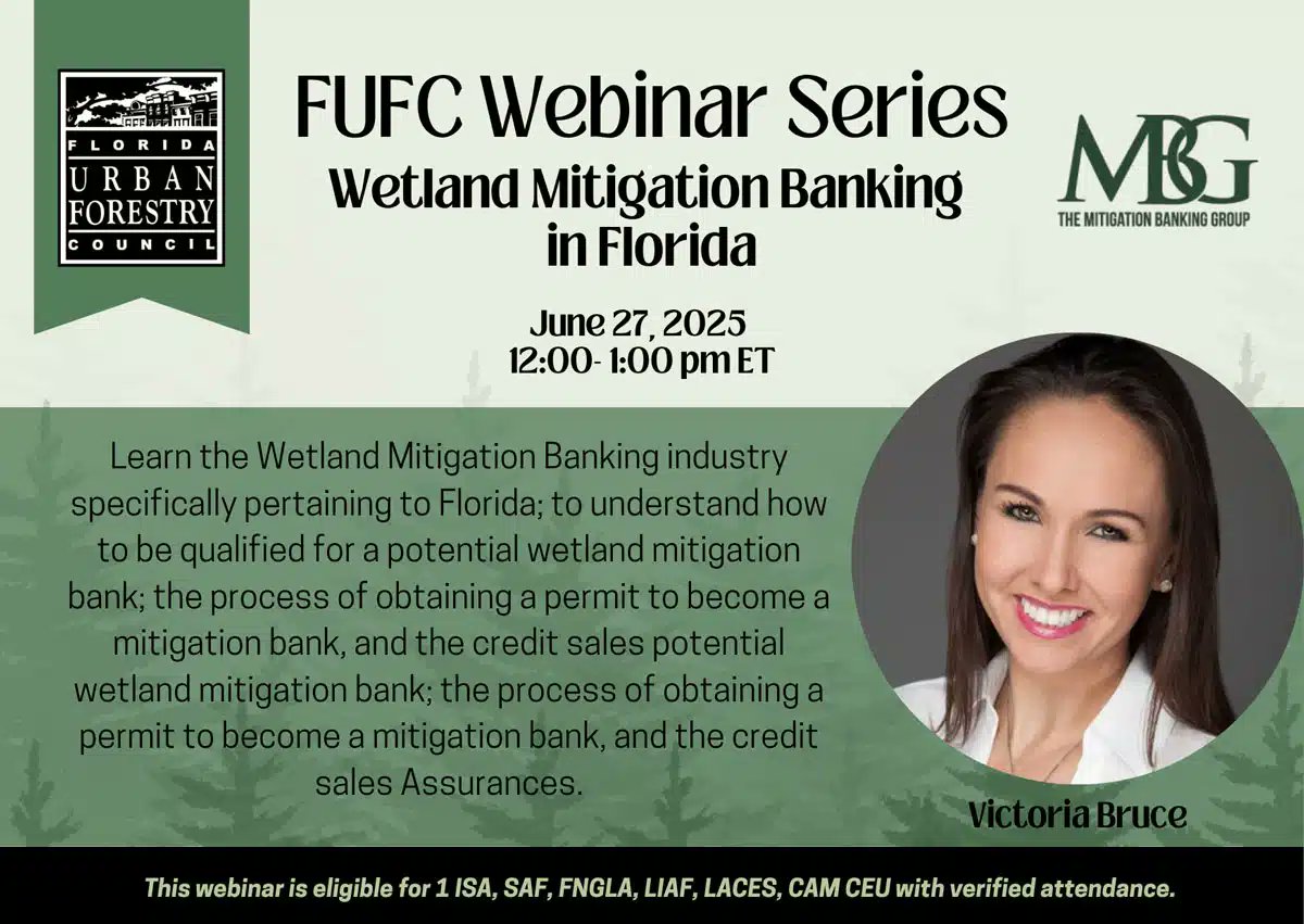 Navigating Florida Land Use and Cover with FLUCCS Codes - The ...