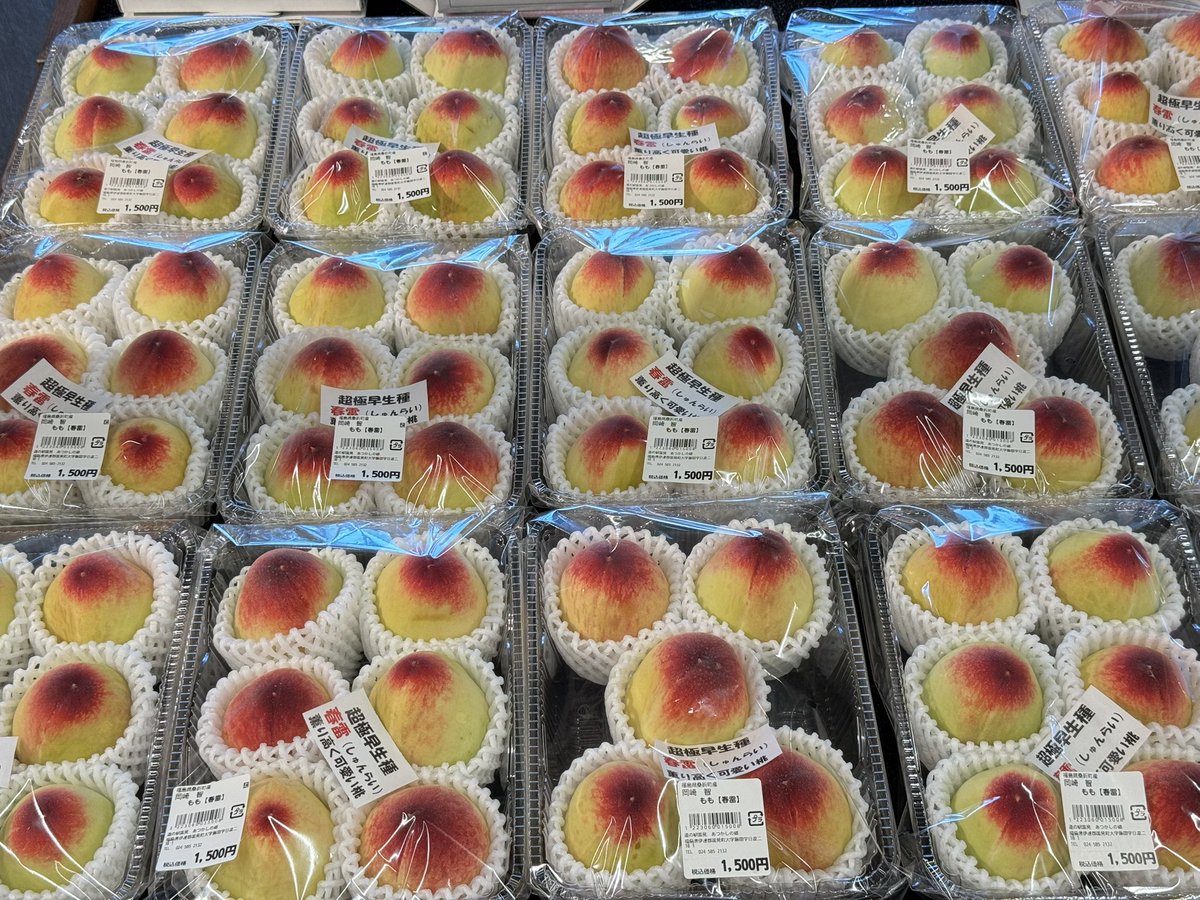 Jピー(@Jay_Pey) - Twilog (ツイログ)