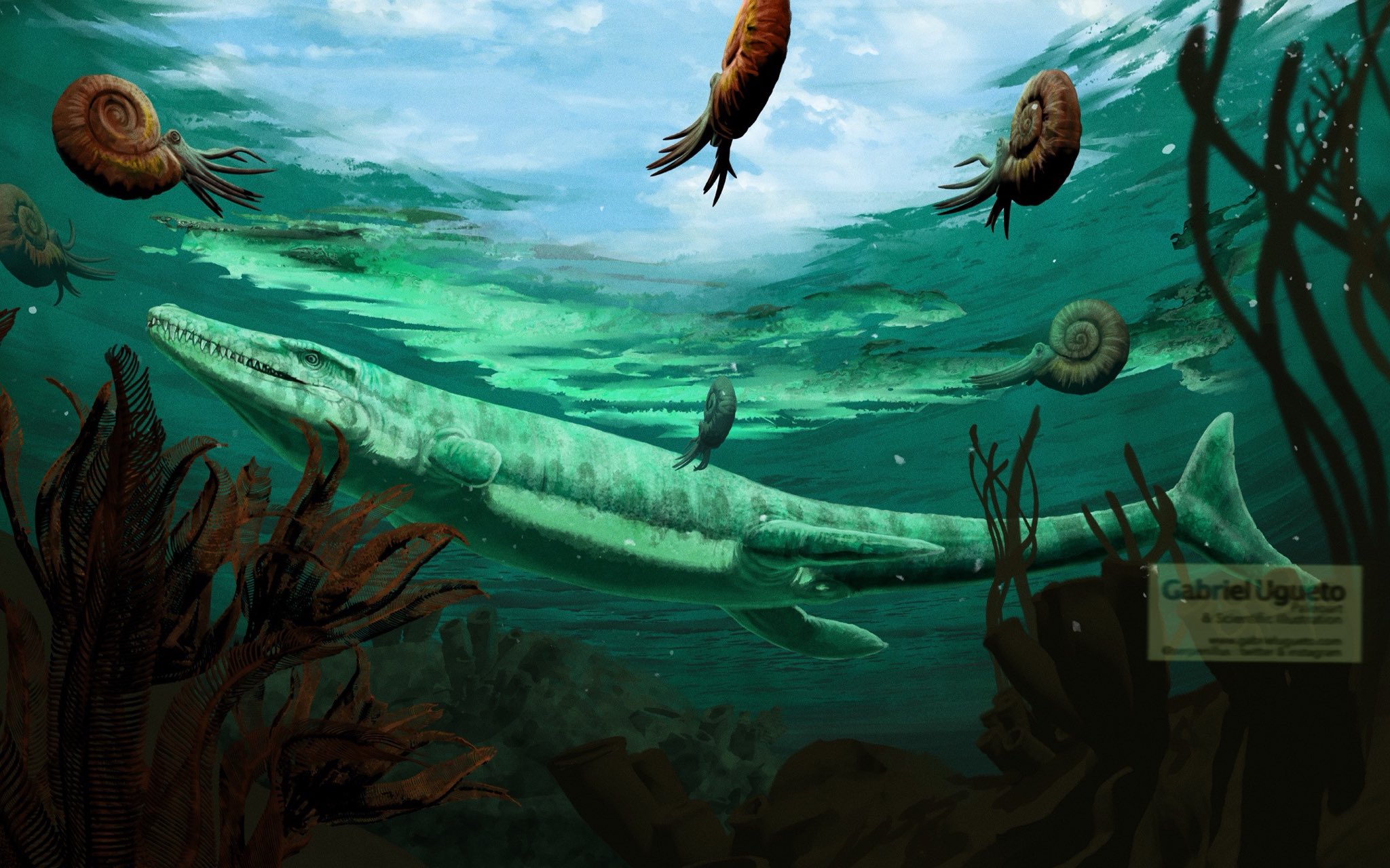 Cretaceous Period Sea Creatures Prehistoric Sea Creatures With