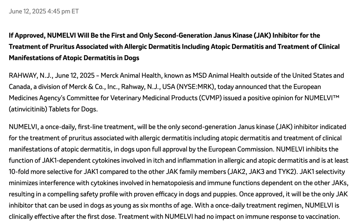 Janus Kinase Inhibitor Dogs