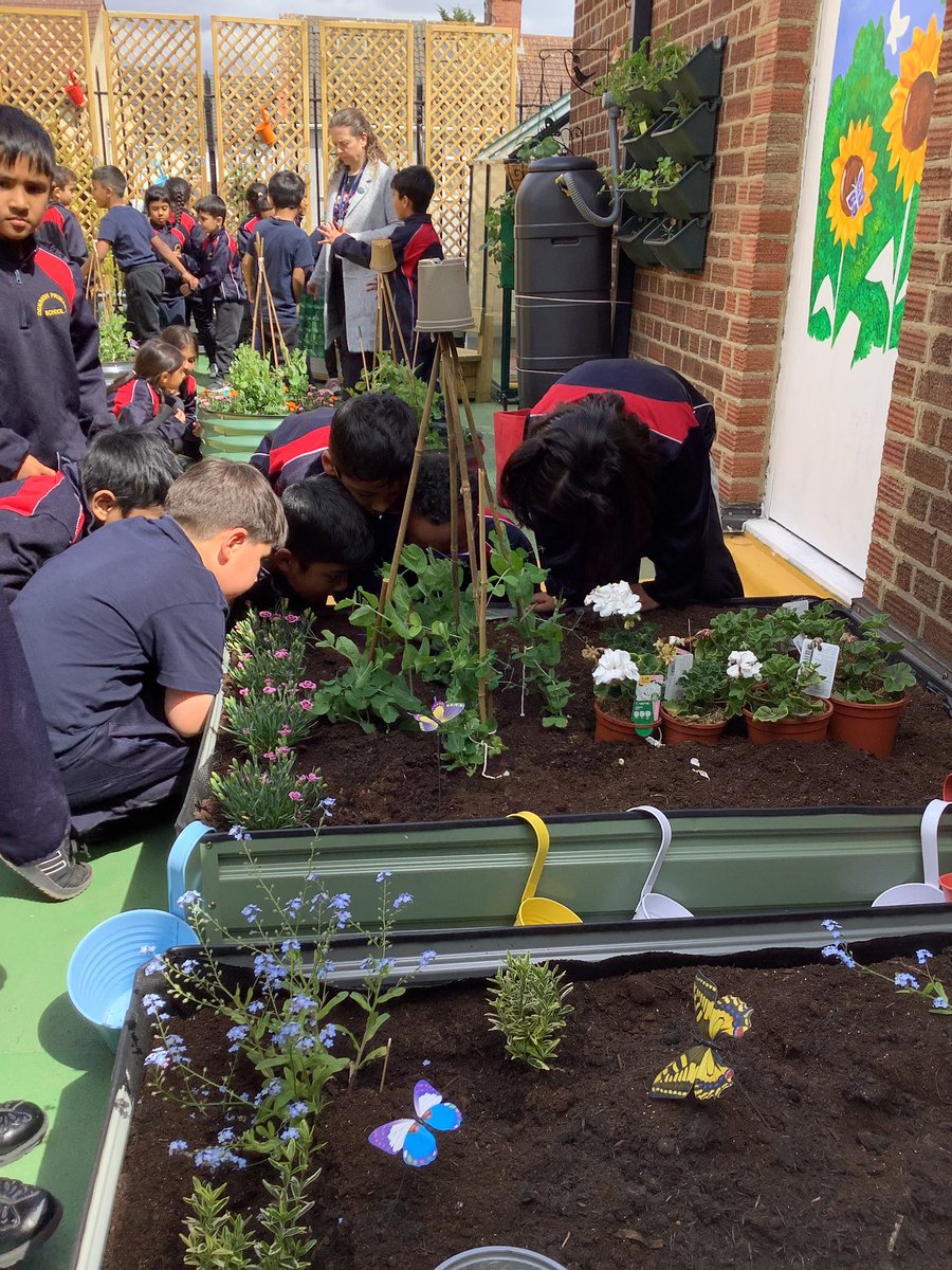 Denbigh | Primary School