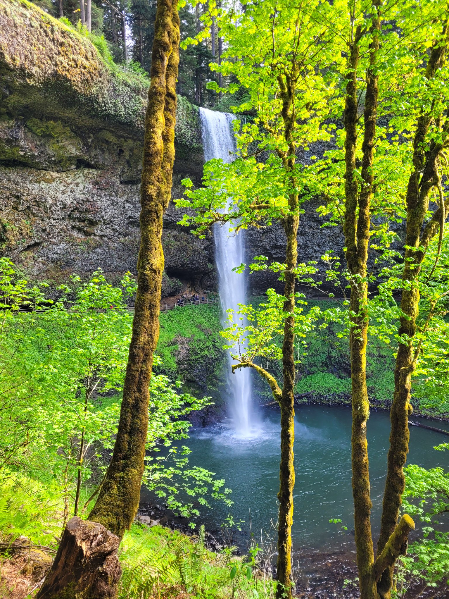 Falls State Park Silverton Oregon