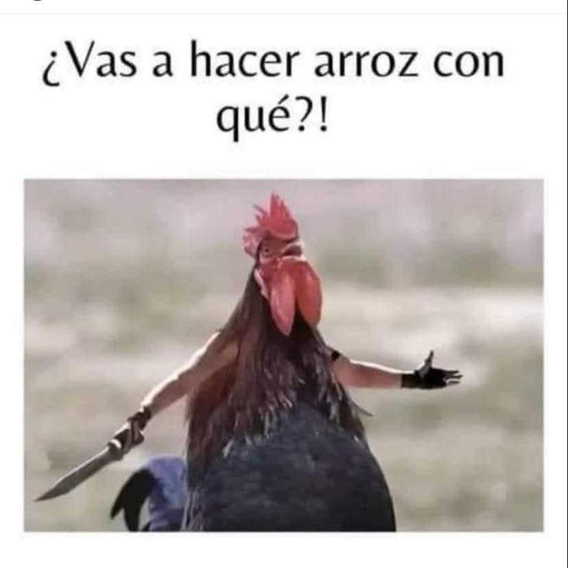 Memes Con Gallo