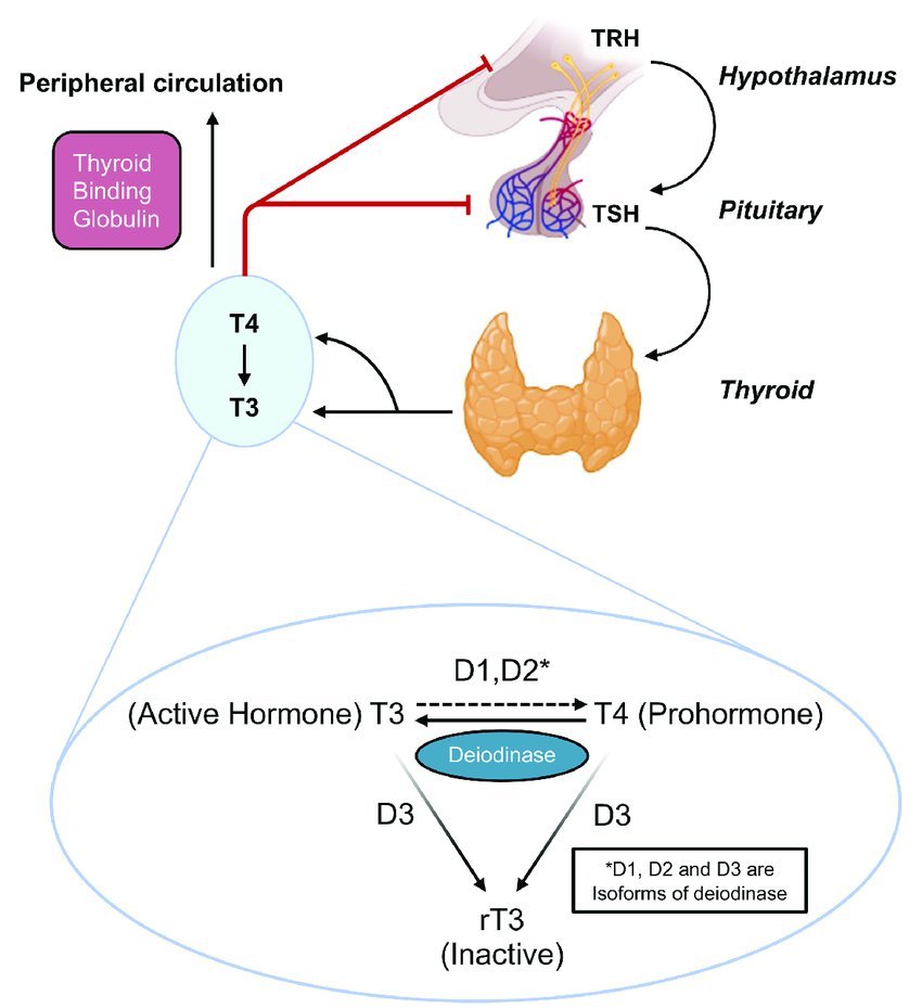 Thread by @DrShayanSen on Thread Reader App – Thread Reader App