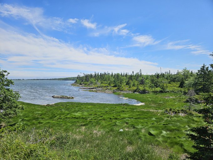 Salt Marsh Trail - Map, Guide & Virtual Tour | Halifax, Nova Scotia