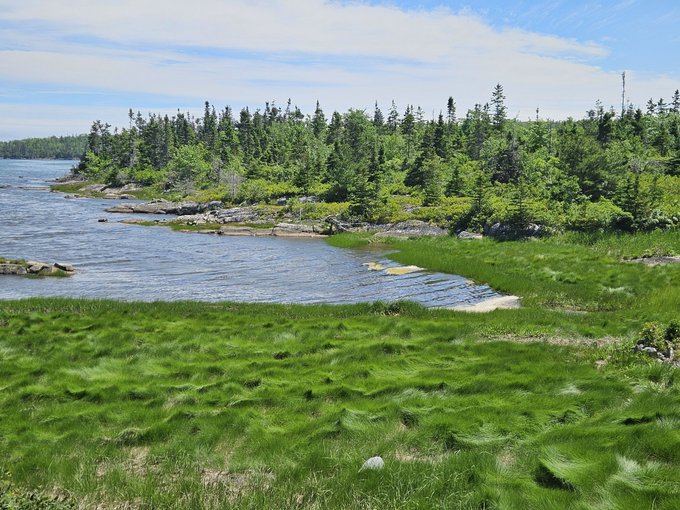 Salt Marsh Trail Guide: Maps, Parking & Coastal Cycling | HalifaxTrails.ca