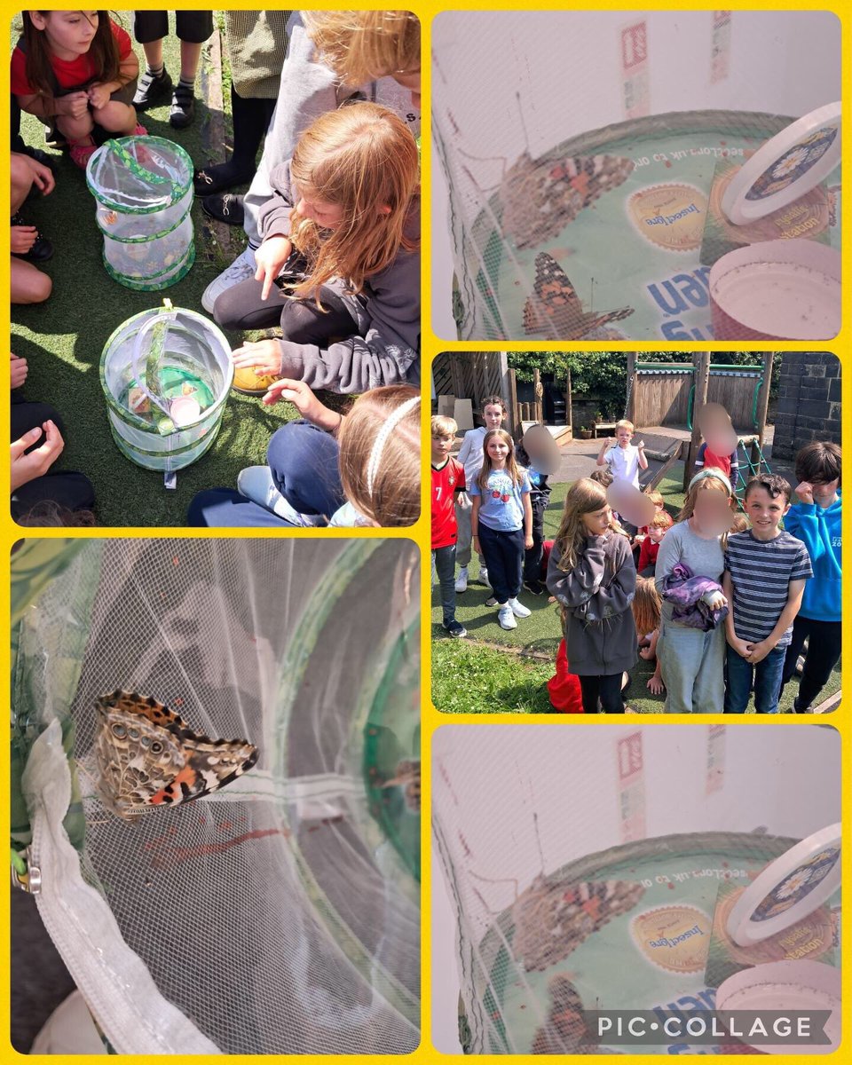 Heptonstall Junior and Infant School