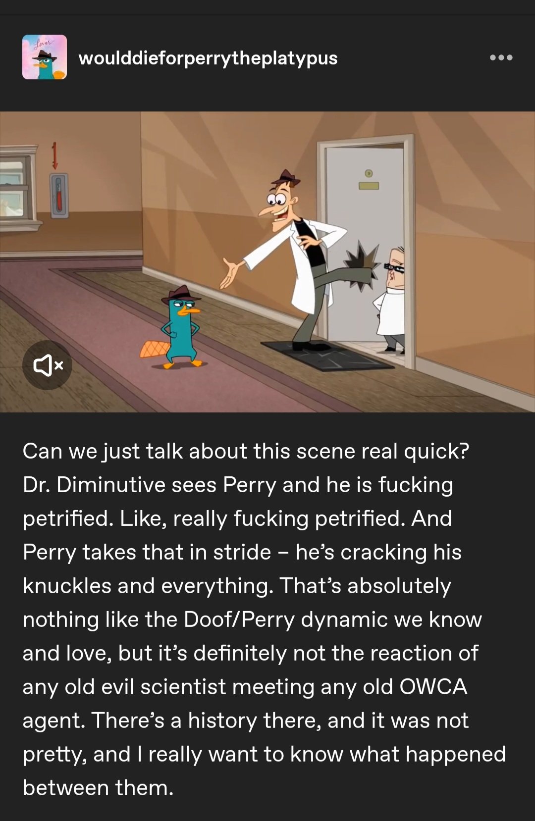 Phineas En Ferb Meme Tumblr