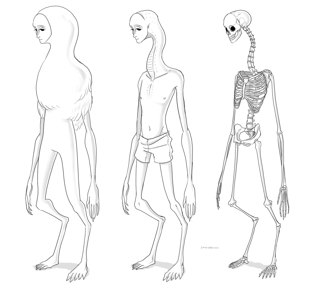 「Emory featherless/skeleton refs. 」Emma Wardの漫画