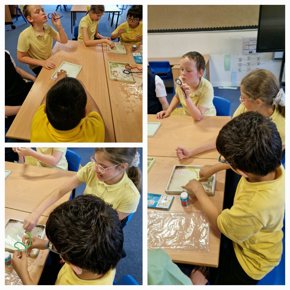 Murray Primary School @MurrayPrimaryEK X Profile | Muskviewer