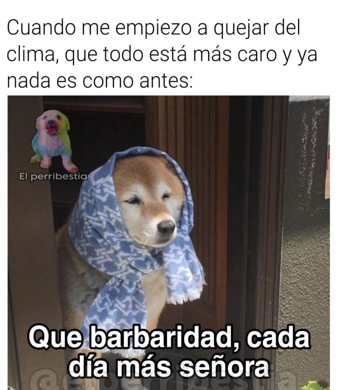 Bebe Del Memes