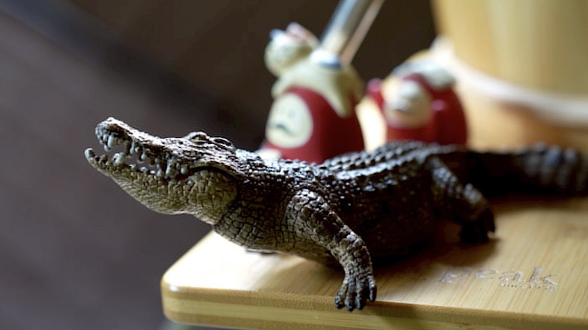 おみつ(@omitsu_s025)さん – 裏垢女子ランキングナビ