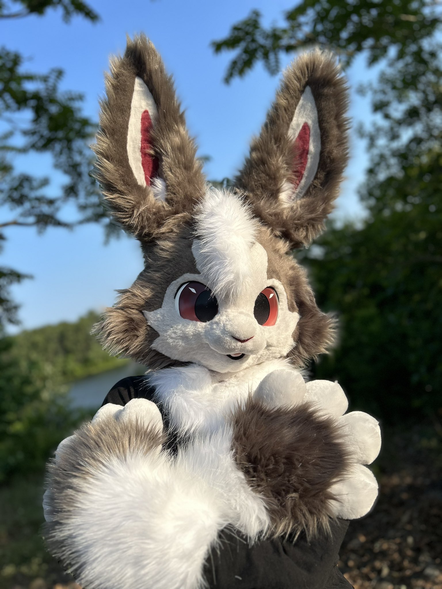 Furry Rabbit Costume