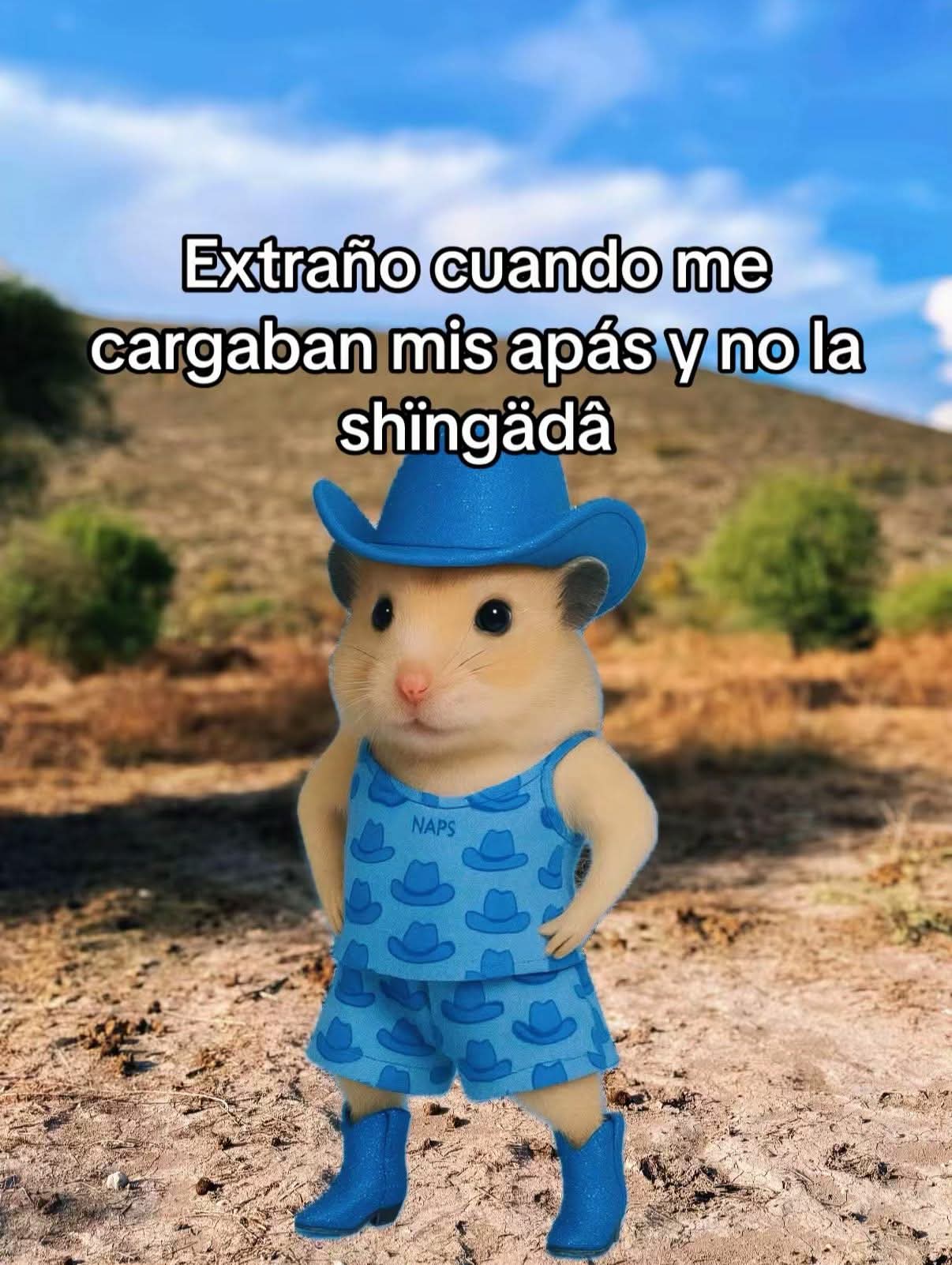 Memes Raton