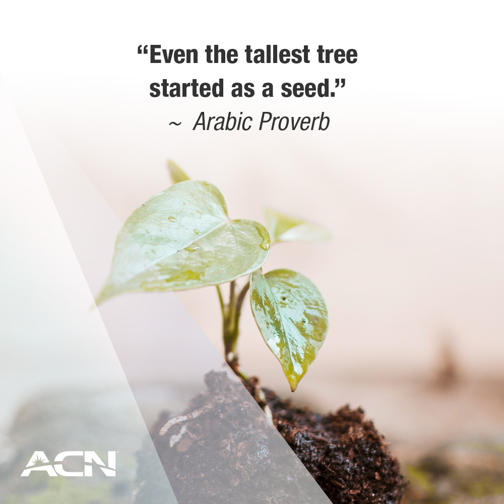 Acn Motivational Quotes 60+ New Beginnings Quotes For A Fresh Start