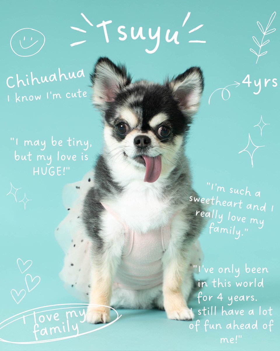 NANM1Nオーデ周辺なんでもあり雑談338