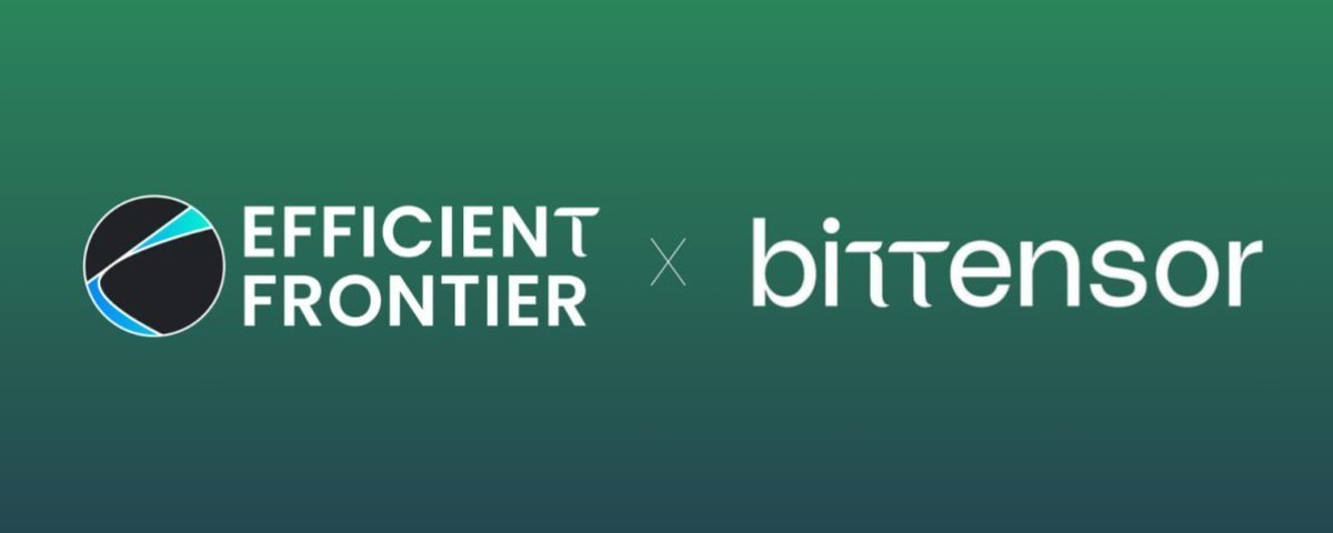 Efficient Frontier - Subnet Alpha